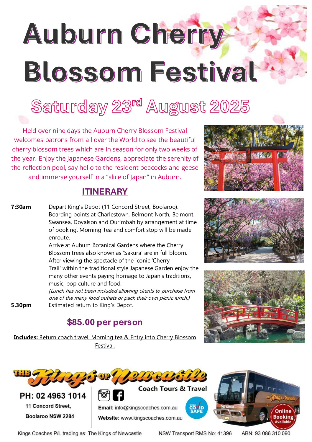 Cherry Blossom Itinerary | Kings Coaches